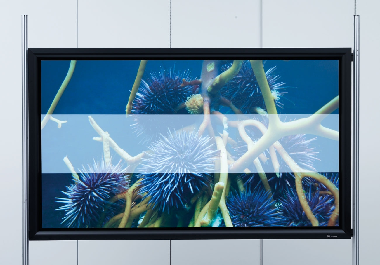 ANSI Standard achieves visibly and measurably better screen images | AV ...