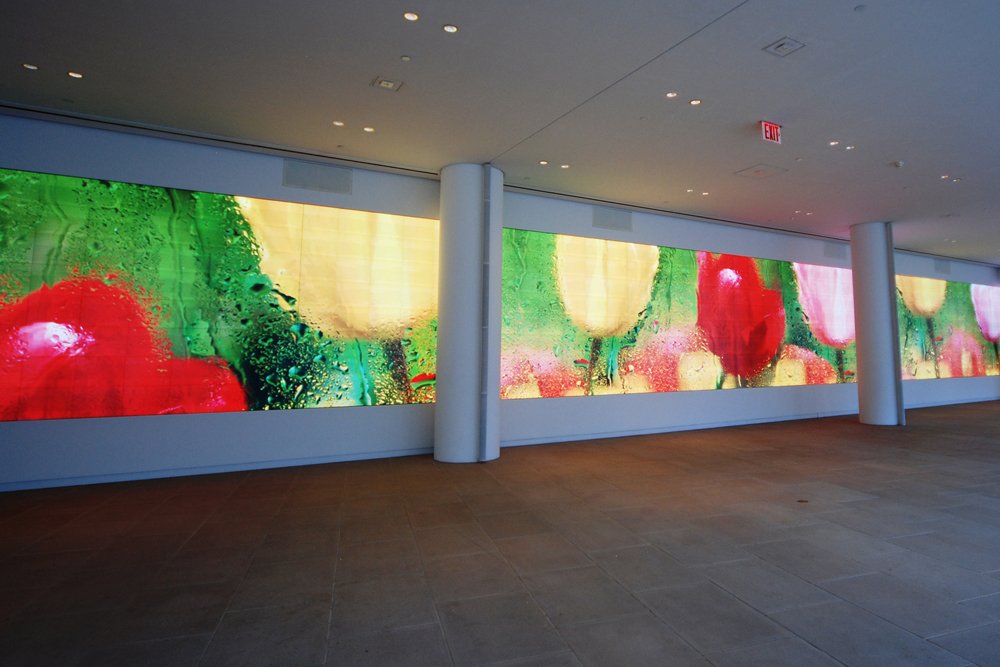 Prysm supplies 120ft videowall for New York internet company | AV Magazine