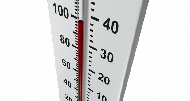 Confidence jumps to nine month high