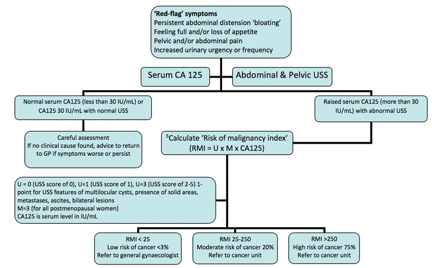 Epithelial ovarian cancer — an update