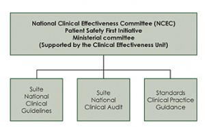 The National Clinical Effectiveness Framework