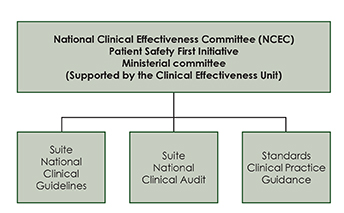 The National Clinical Effectiveness Framework