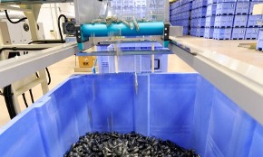 Logoplaste targets Olympic work with pre-form automation line