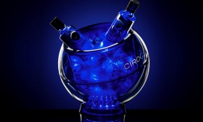 QSLD creates on-bar bowl for Ciroc vodka: gallery