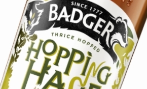 Brandopus revamps Hopping Hare beer brand after brewery account win