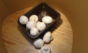 Sharpak launches new green mushroom punnet