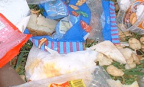 Packaging CEOs pledge to tackle litter