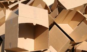 International Paper extends offer for Temple-Inland