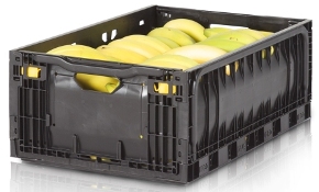 Asda signs banana container agreement with IFCO