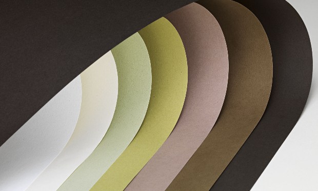 New paper unveiled made from olives