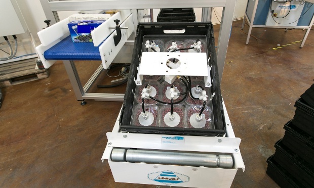 Pacepacker rolls with UPM’s modular food-safe conveyor