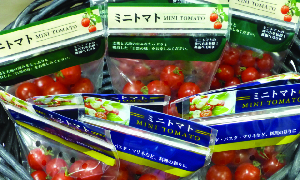 Cultural lesson at Tokyo show | Japanese market report