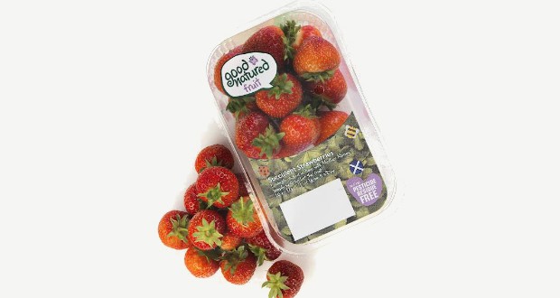TCL Packaging develops special lidding films for soft fruit