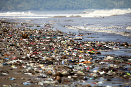 Green Alliance: ‘Five simple actions’ to tackle marine litter