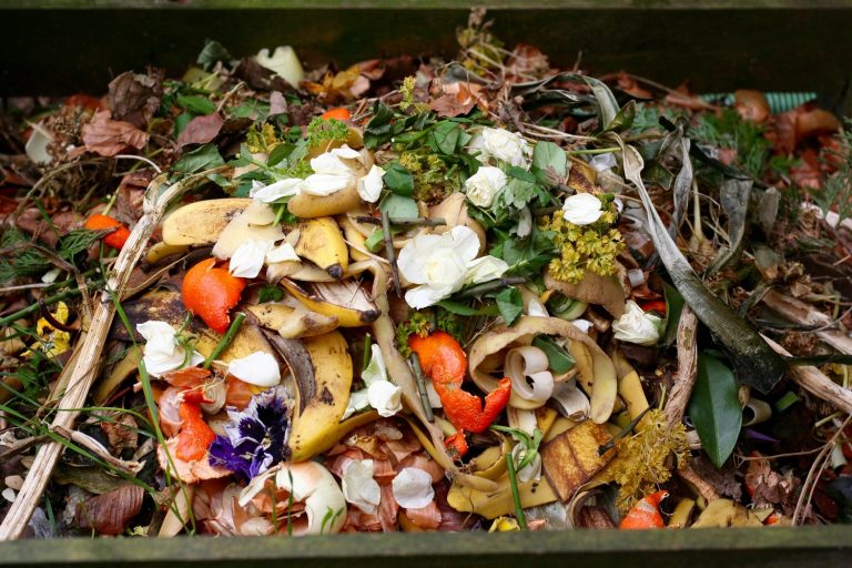Tesa develops new packs to tackle food waste