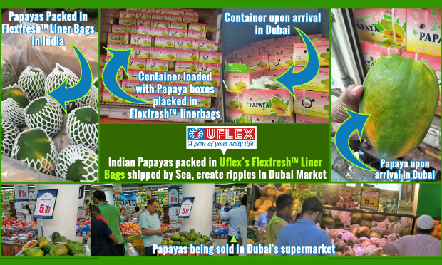 Uflex makes waves with Flexfresh solution