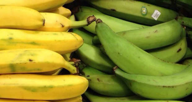 It’s Fresh! signs agreement with Ecuadorian banana association