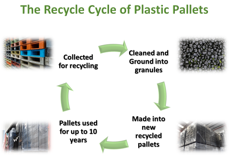 Exporta teams with Plastic Expert for free plastic recycling Scheme