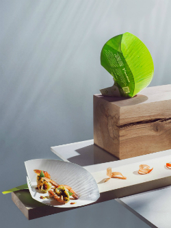 Metsä Board introduces a new plastic-free eco-barrier paperboard