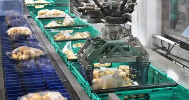 Morrisons turns to Brillopak to improve potato packing