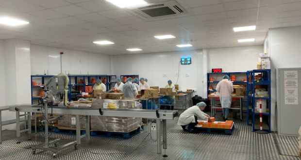 Codex makes £2m investment