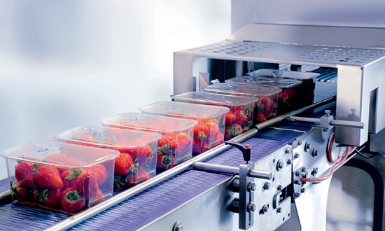 ILIP publishes environmental product declaration on r-PET punnets