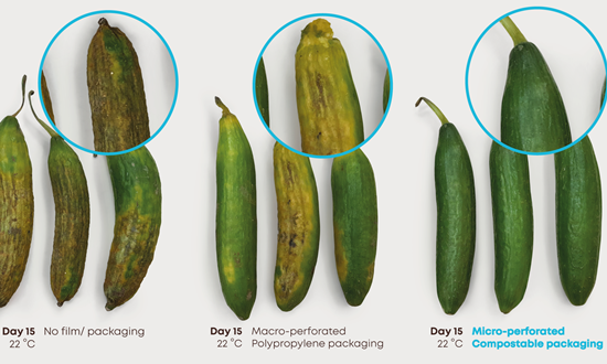 Compostable packs ‘may allow longer shelf-life’ of vegetables than ...