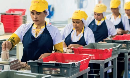 Princes Group to cut CO2 emissions through packaging projects