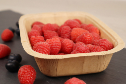Westpak announces manufacturing breakthrough in punnets and trays