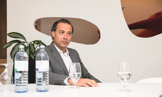 Profile | Manfred Stanek – Greiner