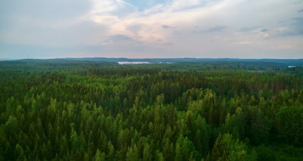 Metsä Board outlines sustainability targets for 2030