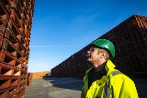 Wood :: Packaging News