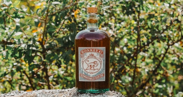 Pernod Ricard’s Monkey 47 unveils 95% recycled glass bottle