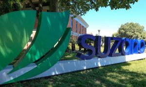 Pulp giant Suzano records increased sales while overall revenues hold ...