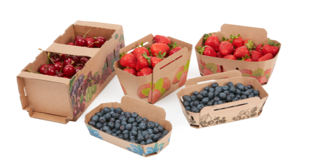 Sustainable packaging the right fit for fresh produce, says Smurfit ...