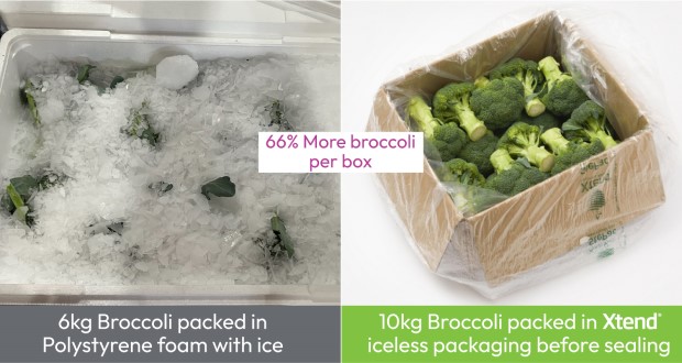 Eco Packaging Vegetables Sustainable Packaging Guide Compostable