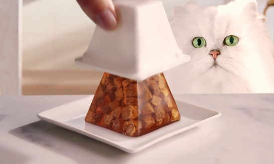 Nestlé Purina launches Gourmet Revelations in patented pyramid ...
