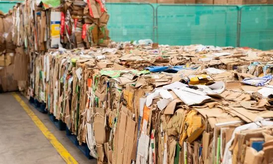 Go-Pak launches 'closed-loop' Go-Recycle service