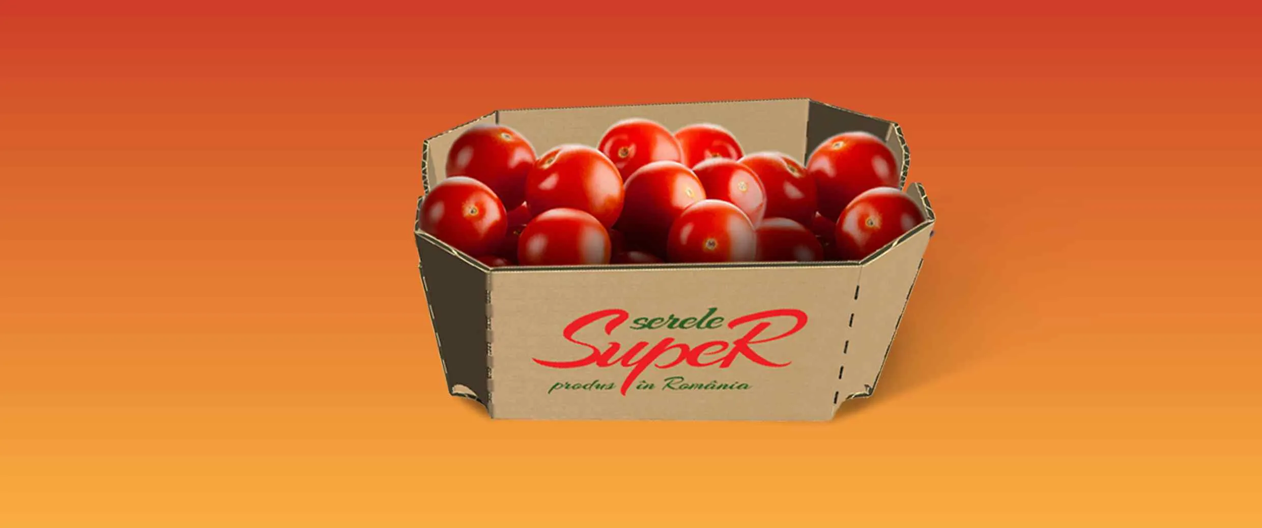 Agricultural cooperative replaces single use plastic with DS Smith ...