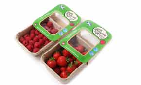 Adare develops first fully recyclable fruit punnet