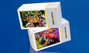 Atlantic Zeiser to premiere 11 machines in Ipex extravaganza