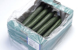 Co-op opts for breathable box liner over shrinkwrap for cucumbers