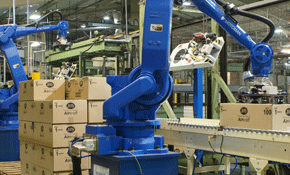 Pregis invests 500k to push Jiffy envelopes in Europe