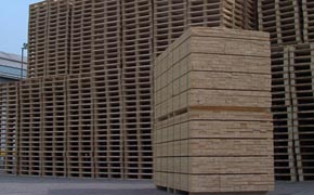 Timcon defends green credentials of timber pallets