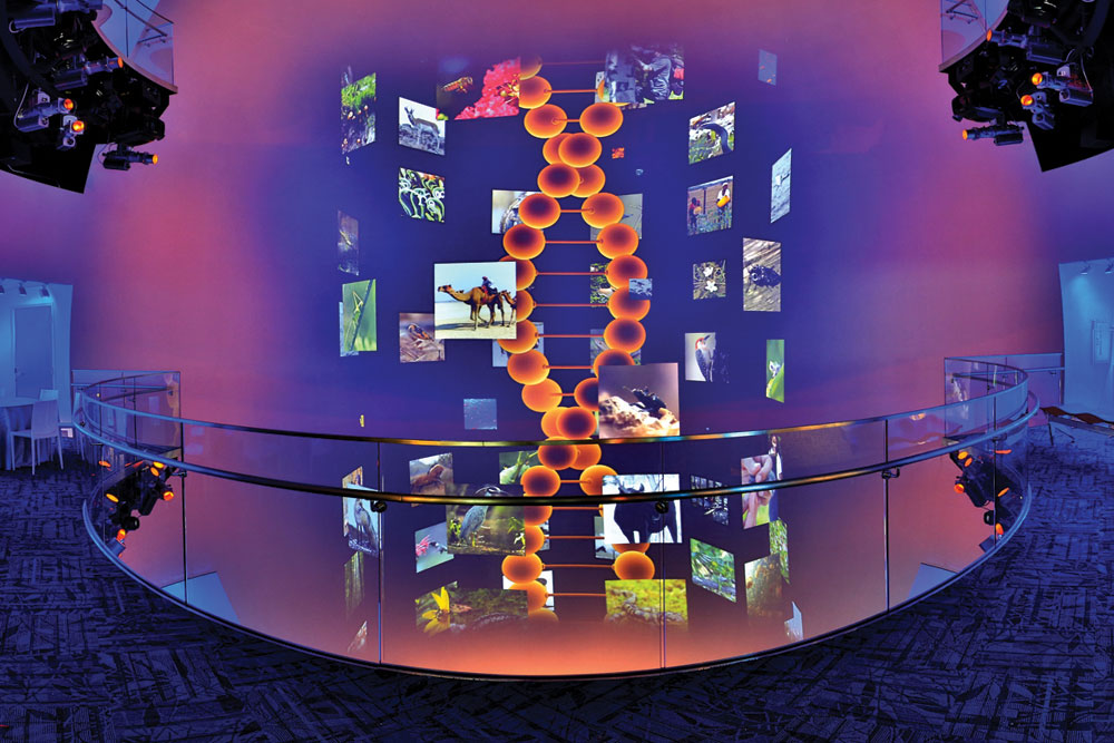 40ft curved dome installed in the Nature Research Center in North ...