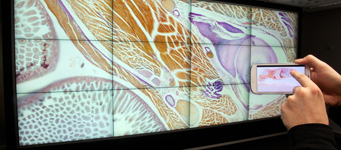 MultiTouch delivers interactive wall for research purposes | AV Magazine