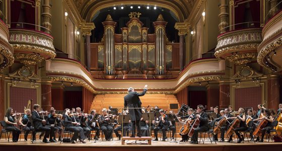 Sign up for AV Academy's High Performance Sound training