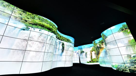 LG goes for the wow, with a 90-foot OLED canyon at CES