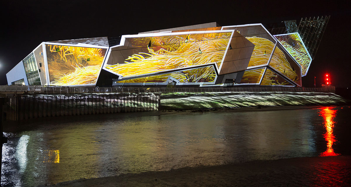 Spectacular aquarium projection mapping makes TV news | AV Magazine