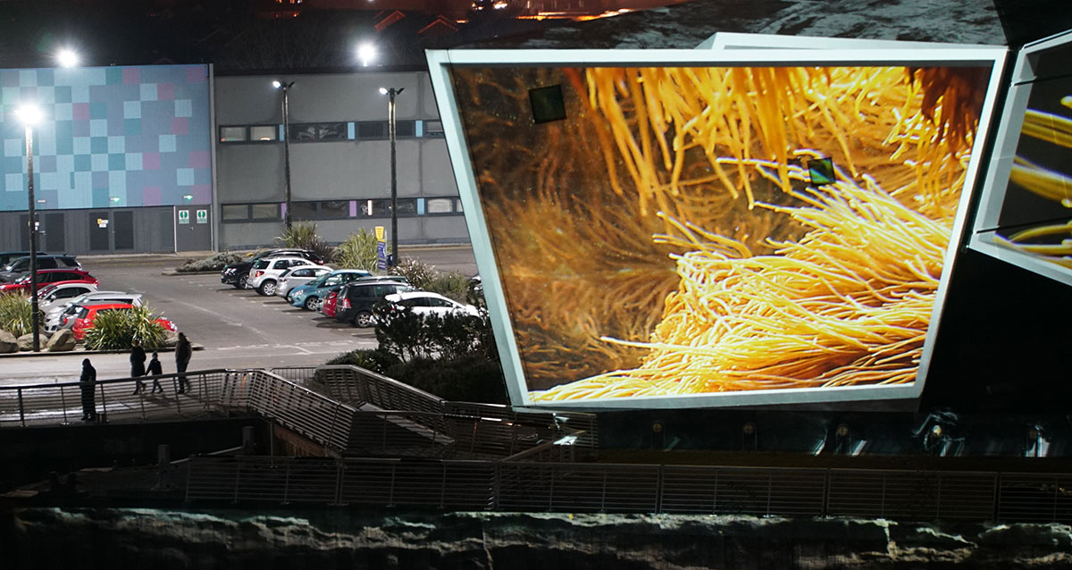 Spectacular aquarium projection mapping makes TV news | AV Magazine